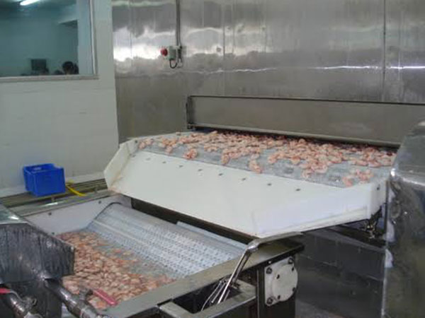 FITZER FI-IQF-500 IQF - Individual Quick Freezer