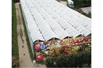Prospex HS2 ARC Flat Retractable Greenhouse Roof Field Cover(Umbrella)