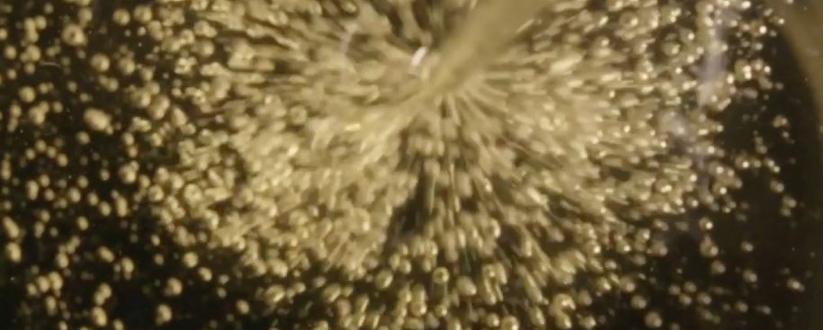 Checkerspot Biomanufactured Algal Oil
