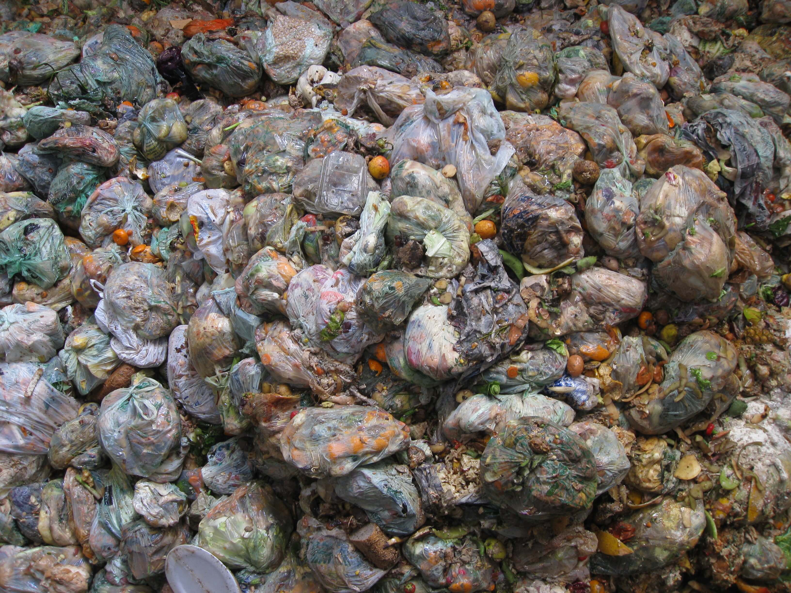 RUNI SK370 Dewatering Food Waste Reject