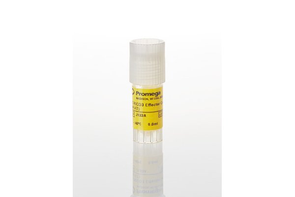 Promega T Activation Bioassays Cell