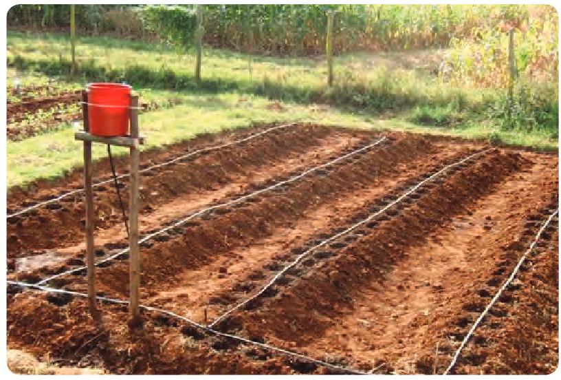 Driptech DT Semi Assembled Drip Irrigation Gravity Kit