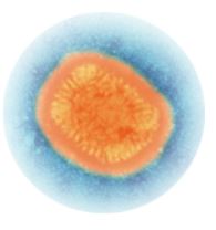 ACAM2000 - Virus Smallpox Vaccine by Emergent BioSolutions Inc.