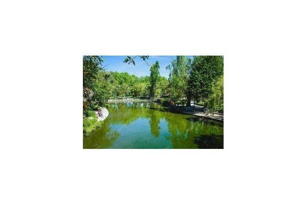 Invivo Biosciences Pond Plus Fish and Prawn Pond Probiotic Blend