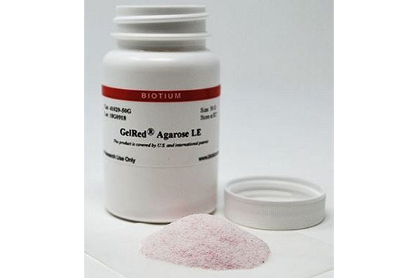 GelRed Agarose - LE - Buffers, Accessories, & Background ...