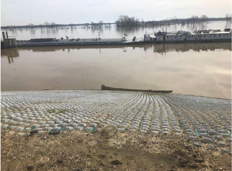 Vegetated Concrete Block Mat for River & Streambanks - Water and ...