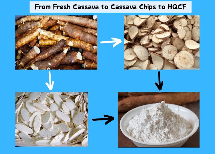 From Cassava Chips to High-Quality Cassava Flour (HQCF): Essential ...
