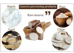 The Step-by-Step Guide to Launching a Cassava Processing Project