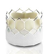 Sapien - Devices - Transcatheter Heart Valves