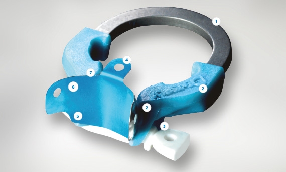 Palodent - V3 - Restorative - Sectional Matrix System By ...