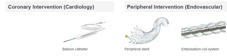Terumo - Terumo Interventional Systems - Vascular ...
