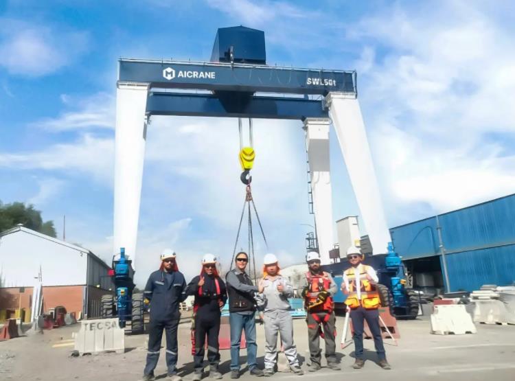 Custom Features That Increase 50 Ton Gantry Crane Price