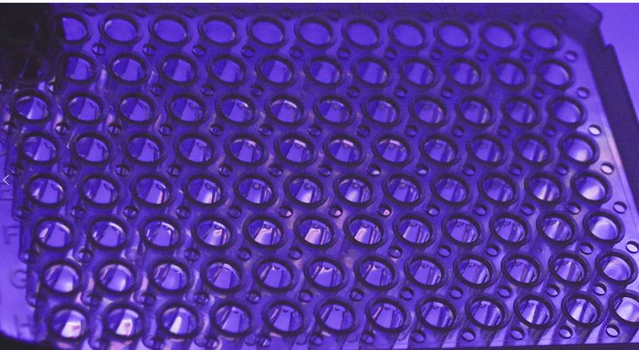 Yourgene CE-IVD- CF-EU2v1 Cystic Fibrosis Analysis Elucigene Kit