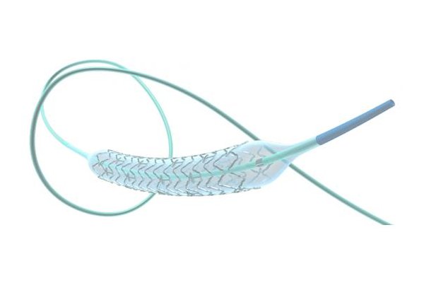 MicroPort - Firehawk - Healthcare Professionals