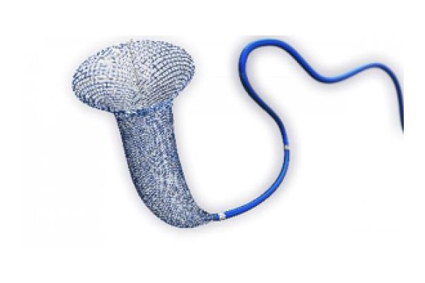 Microport Tubridge - Healthcare Professionals - Hemorrhagic Stroke ...