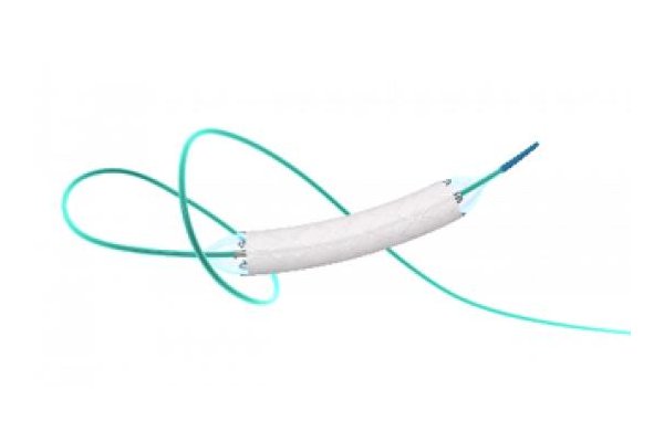 MicroPort Willis - Healthcare Professionals - Hemorrhagic ...