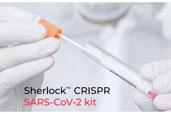 Sherlock CRISPR SARS-CoV-2 FDA Authorized CRISPR-Based EUA Diagnostic Test