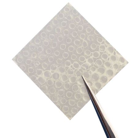 AmnioExcel Plus Placental Allograft Membrane