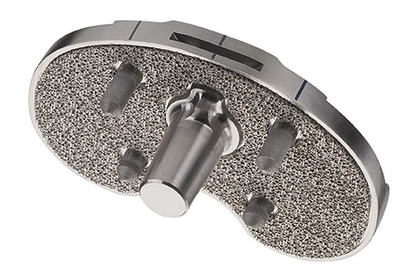 Evolution BioFoam - Knees - Primary Medial-pivot Knee System ...