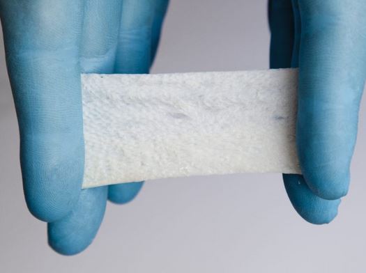 Kerecis - Omega3 MariGen - Physicians - Fish-Skin Grafts by ...