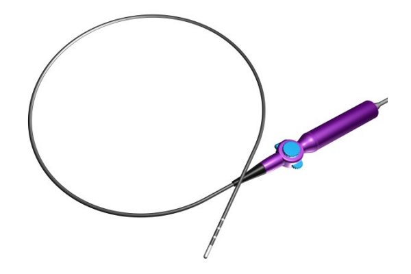 Integer - Catheters - Ablation Catheters By Integer Holdings Corporation