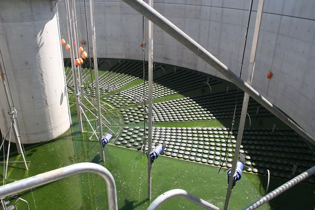 SFA Enviro Europelec Aquadisc Fine Bubble Air Disc Diffusers