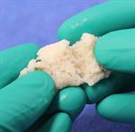 ViBone Viable Bone Matrix (VBM)