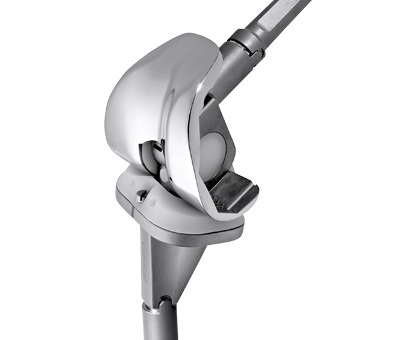 LINK - Endo-SL - Knee - Knee Replacement System by Waldemar ...