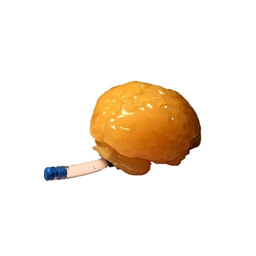 TPS - Adults (US, CT & MRI) - Customized Adult Brain phantom ...