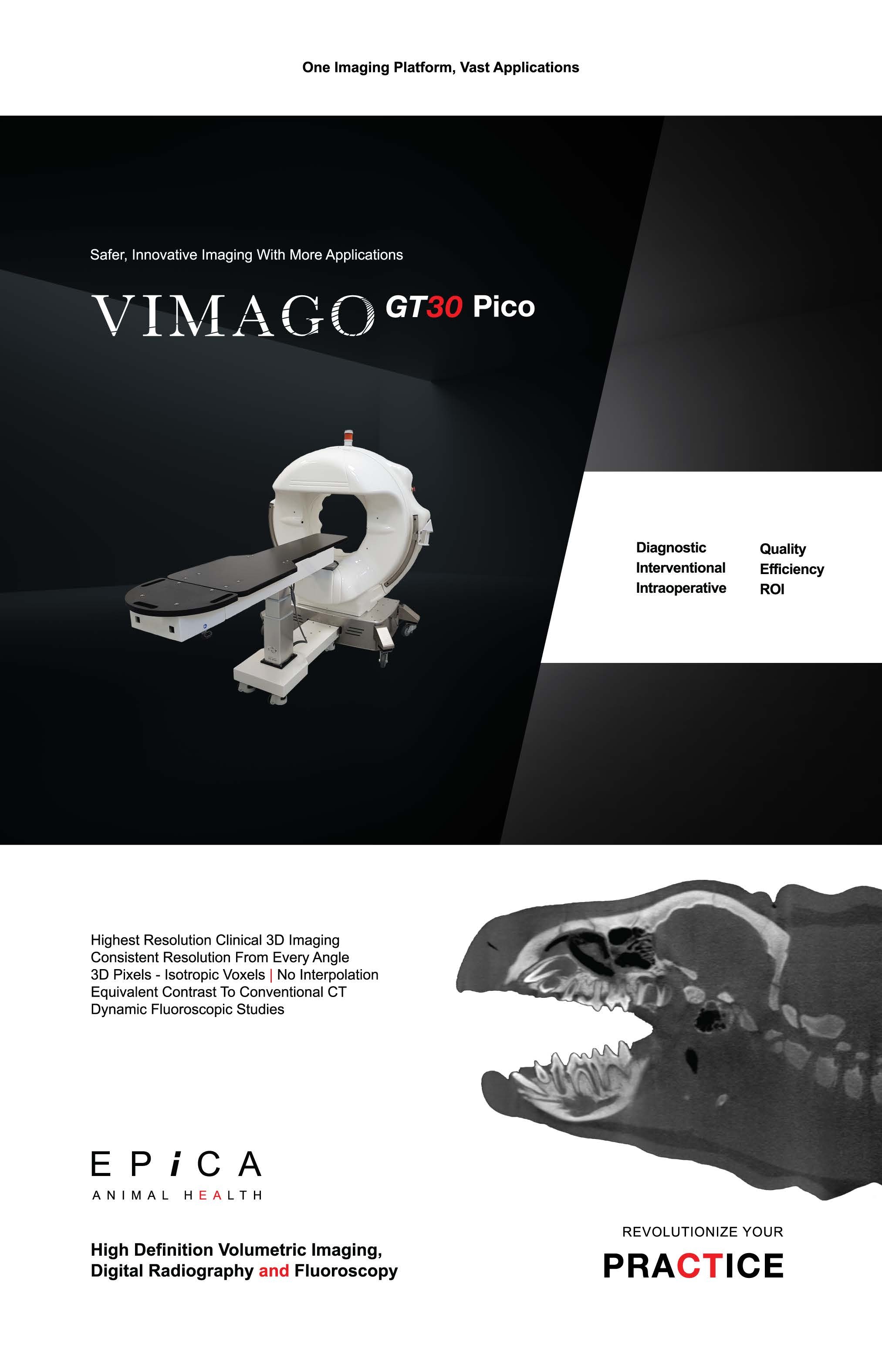 Vimago - Model GT30 Pico - Full-Featured Fluoroscopy and Digital ...