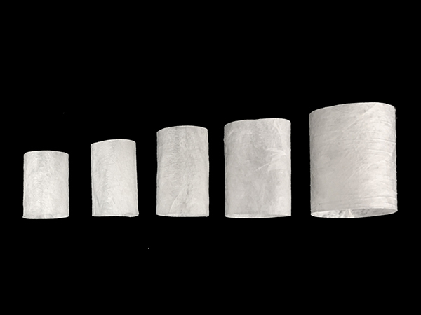 Cor TRICUSPID ECM Valve