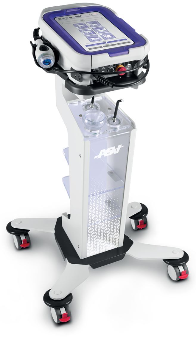 M-VET - Veterinary MLS Therapy and Surgical Lasers - Therapy ...