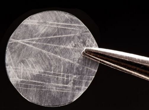 Keeler Opticyte Matrix - Biologics - 8mm Amniotic Ocular by ...