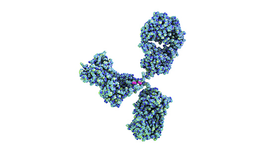 BioArctic - Technology Platform by BioArctic AB