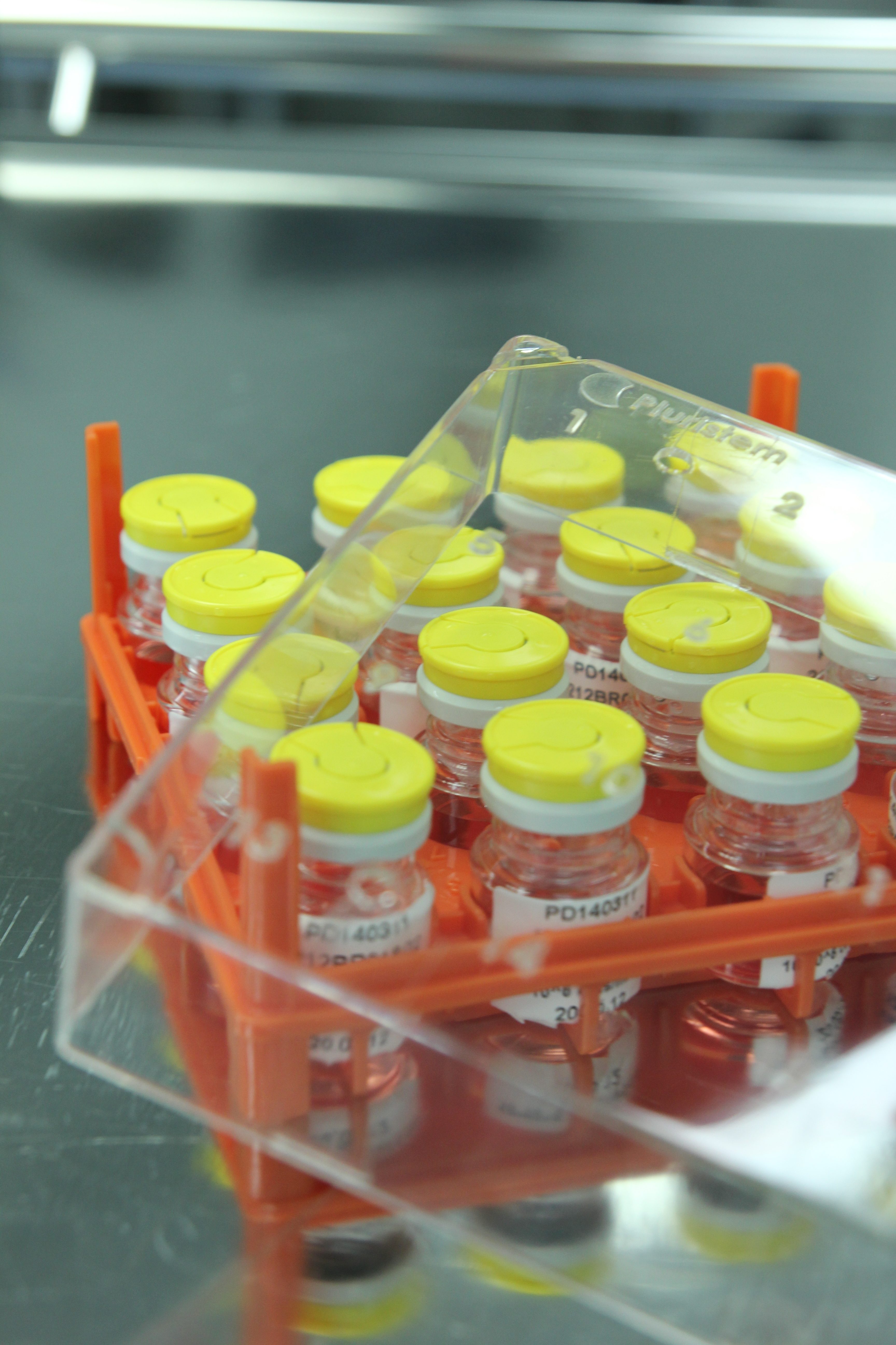 Pluristem - PLX-PAD - PLacental eXpanded (PLX) Products