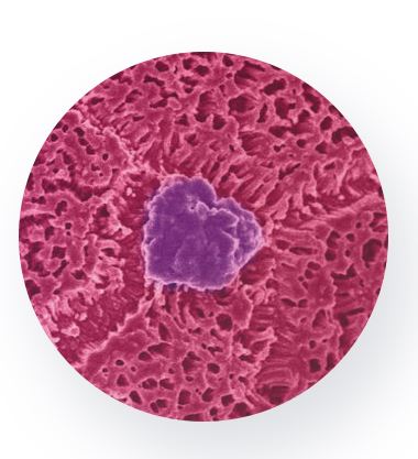 Emulate - Organ-Chips - Colon Intestine-Chip by Emulate