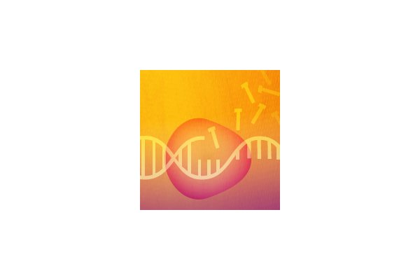 Real-time PCR - Real-time PCR Kits - One-Step PrimeScript ...