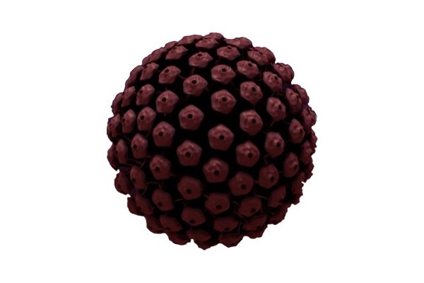 2A Pharma - 2AP01 - HPV Vaccine by 2A Pharma ApS