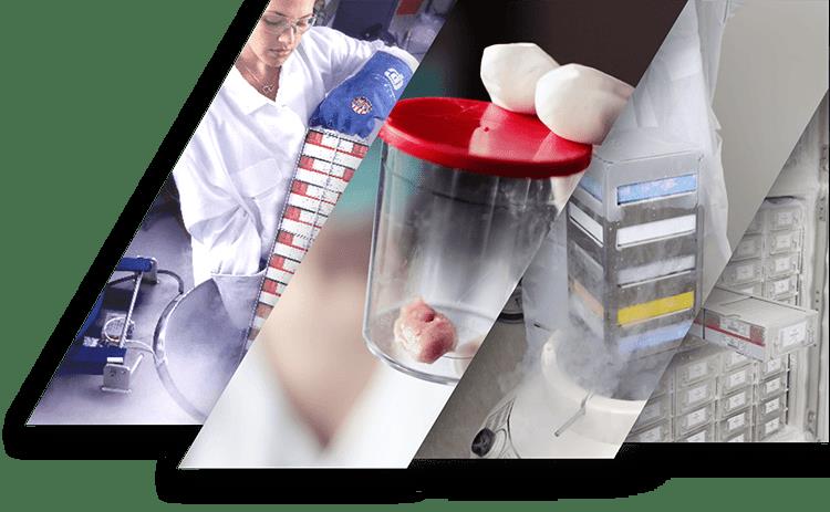 Tissues - Fresh & Frozen Tissue by Precision For Medicine, Inc.