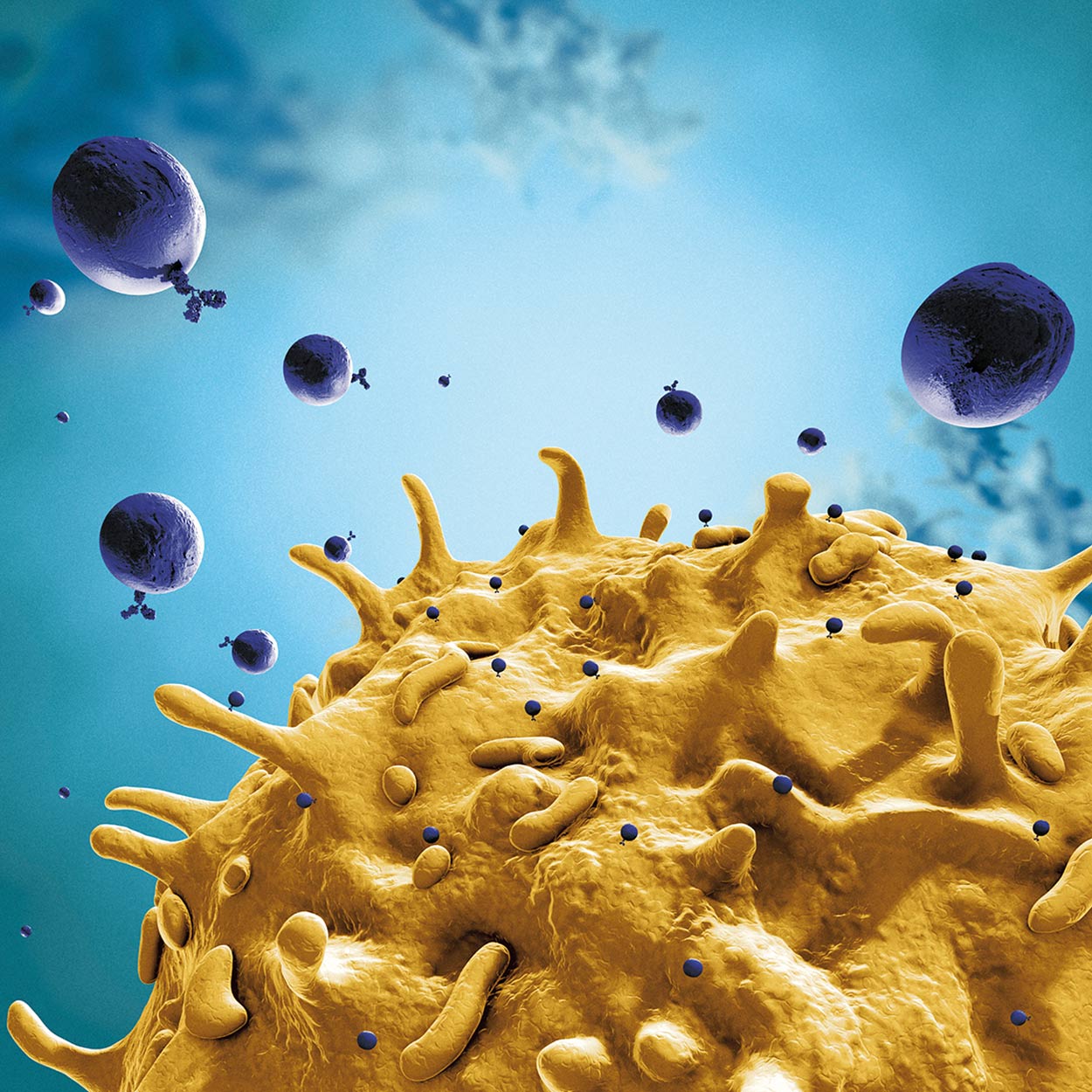 MicroBeads - MACS - MACS Cell Separation - Cell Separation ...