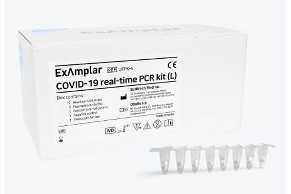Boditech - Reagents - Molecular Diagnostics - Examplar ...