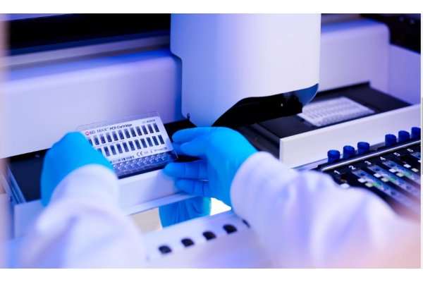 BioGX - COVID-19 Real-time PCR Test - BD MAX™ System by ...