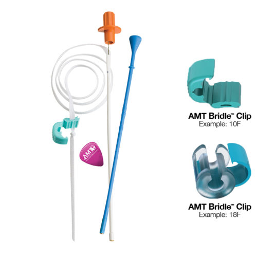 AMT Bridle Nasal Tube Retaining System