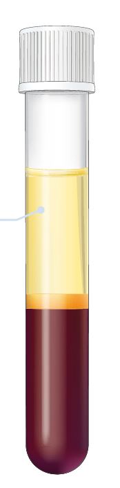 ViennaLab RealFast - c - Cancer Diagnostics - Assay by ...