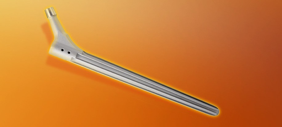 Aristotech Wagner Type Taped Fluted Titanium Femoral Stem