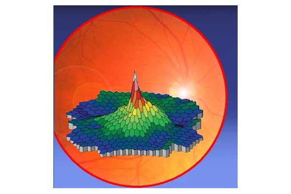 Reti-Port - Scan 21 - Others - Electrophysiological Test Unit By Roland ...