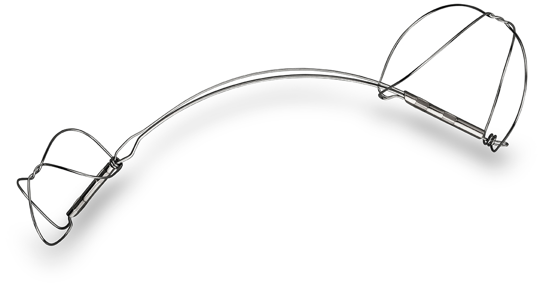 Cardiac Dimensions - Carillon Mitral Contour System By Cardiac ...