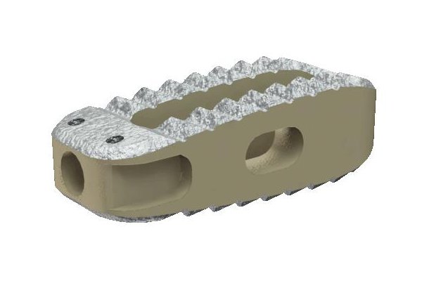 ECHO - PLIF - Thoracolumbar - Interbody Spacers - Interbody ...