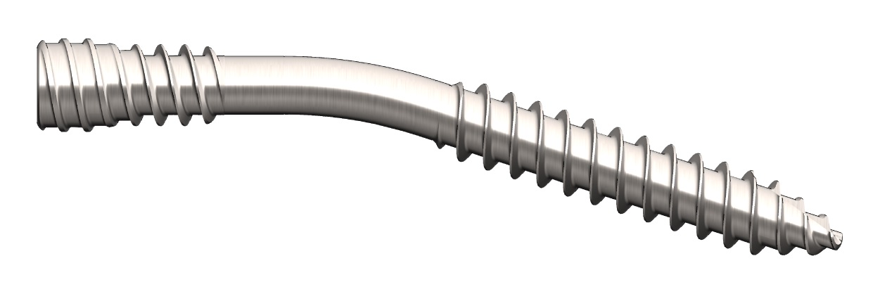 ExsoMed - ArcPhix - Products & Technology - Dip Joint Fusion ...