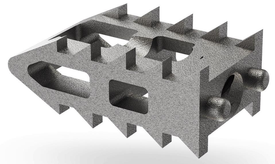 Cavux - SB - Cavux - Cervical Cages - Cervical Cages By Providence ...